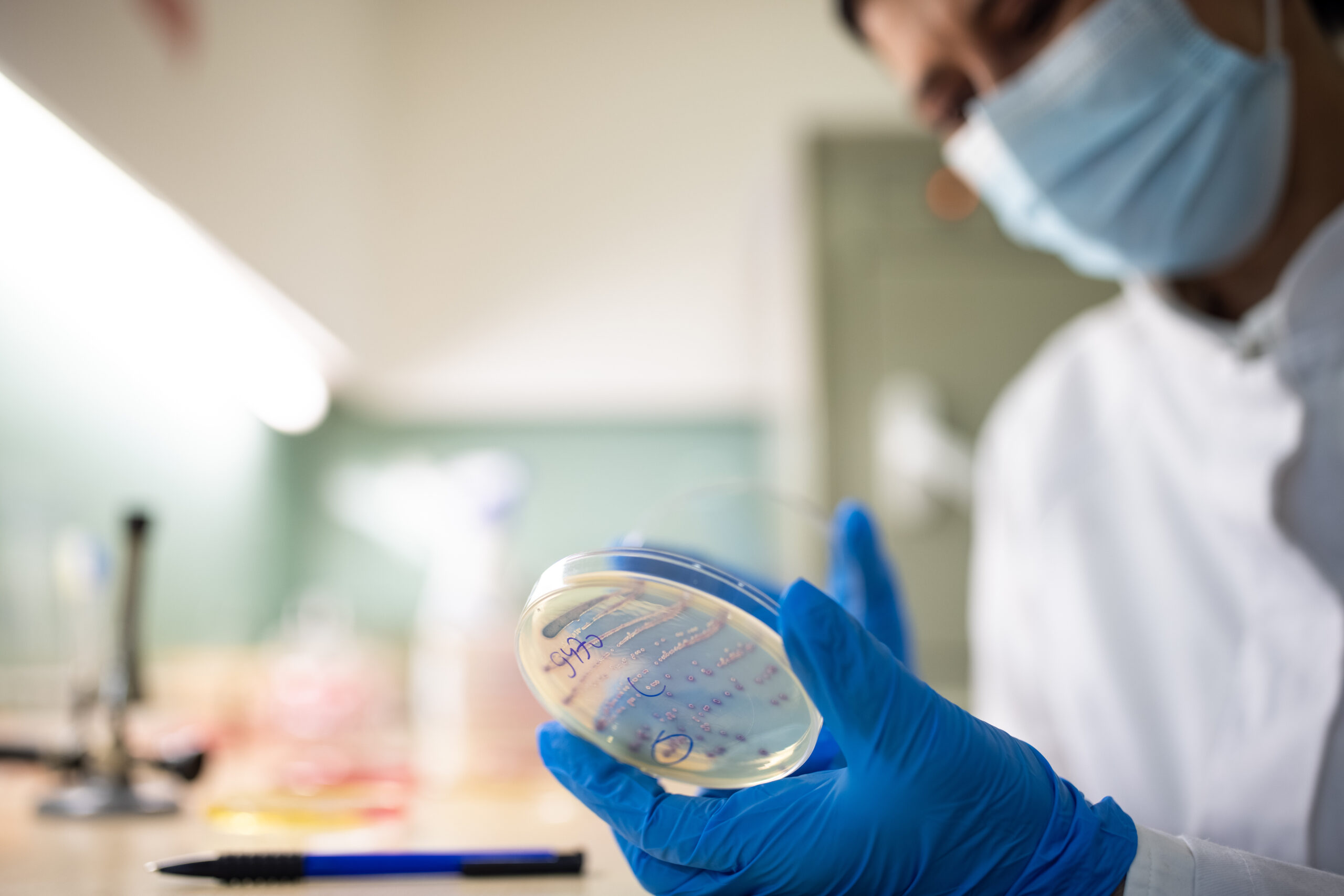 “Looming threat” – Superbug deaths increase in over 70s by 80 per cent ...